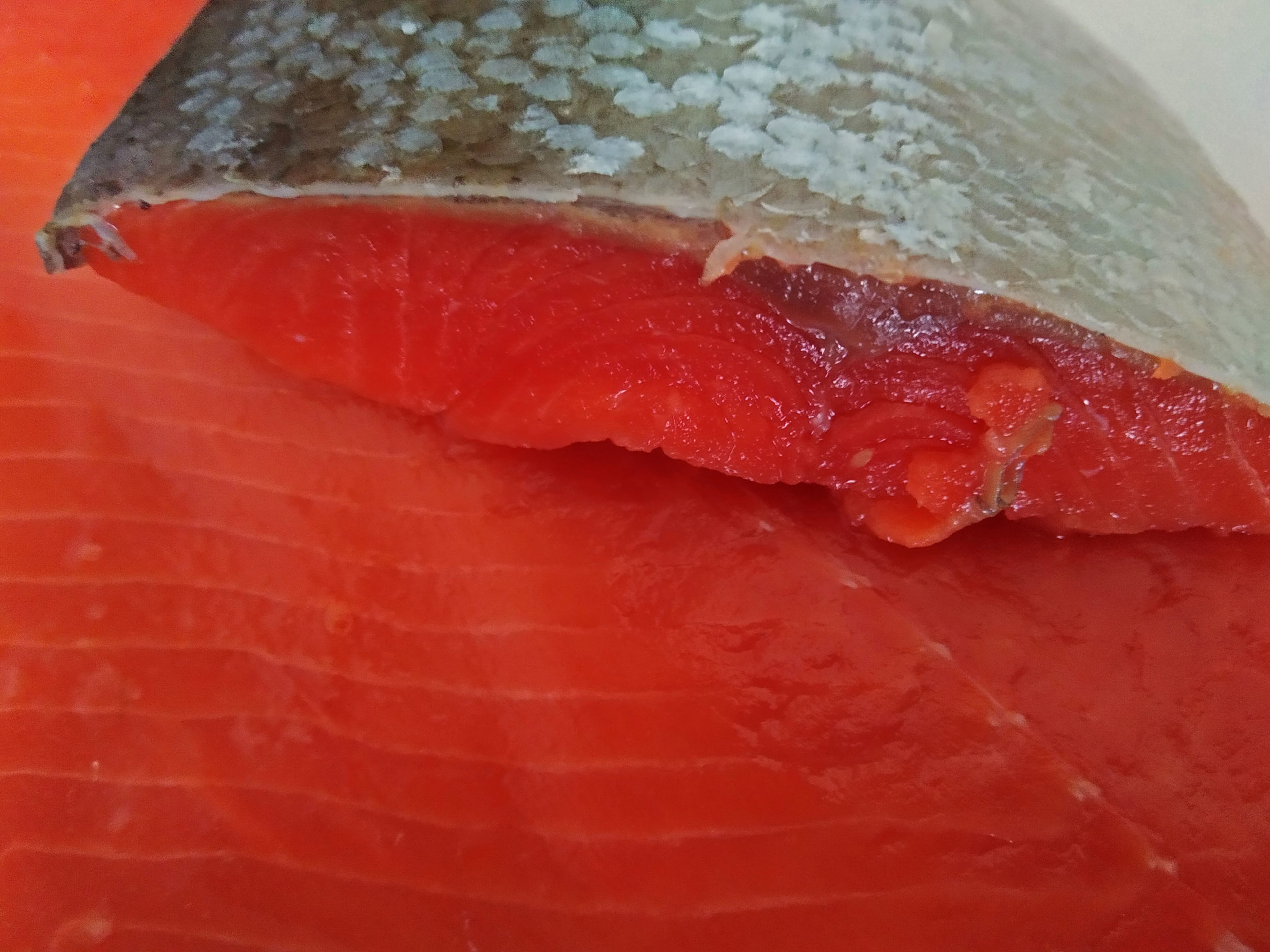 FILETE DE SALMÓN ROJO SALVAJE - TIENDA - RagnarSeaFood